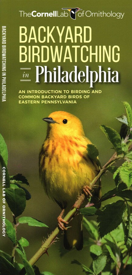 Backyard Birdwatching in Philadelphia - Book Summary & Video | Official ...