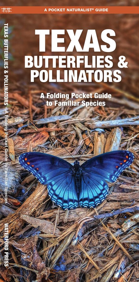 Texas Butterflies & Pollinators - Book Summary & Video | Official ...