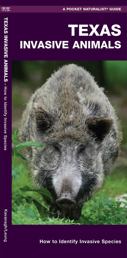 Texas Invasive Animals - Book Summary & Video | Official Publisher Page ...