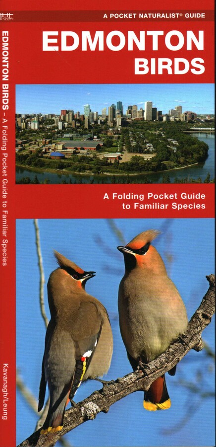 Edmonton Birds - Book Summary & Video | Official Publisher Page | Simon ...