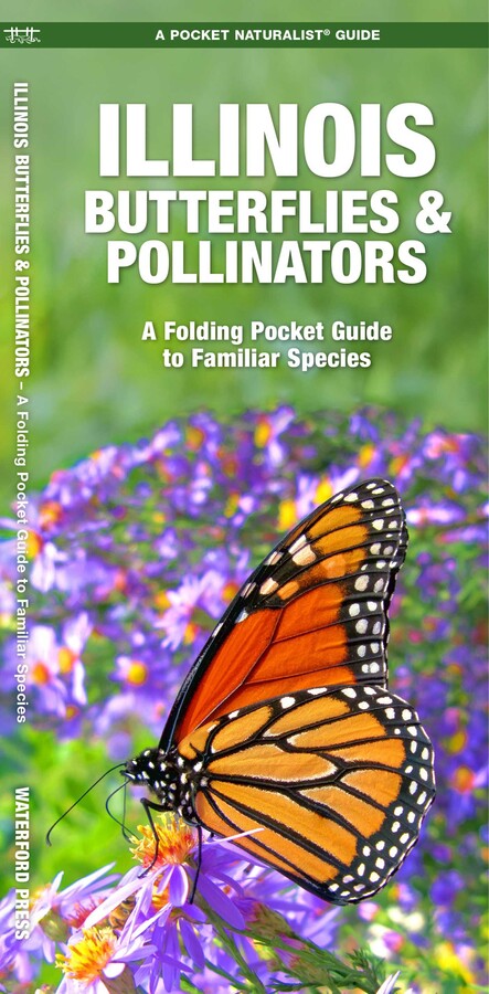 Illinois Butterflies & Pollinators - Book Summary & Video | Official ...
