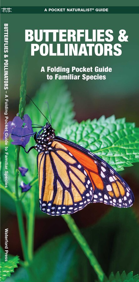 Butterflies & Pollinators - Book Summary & Video | Official Publisher ...