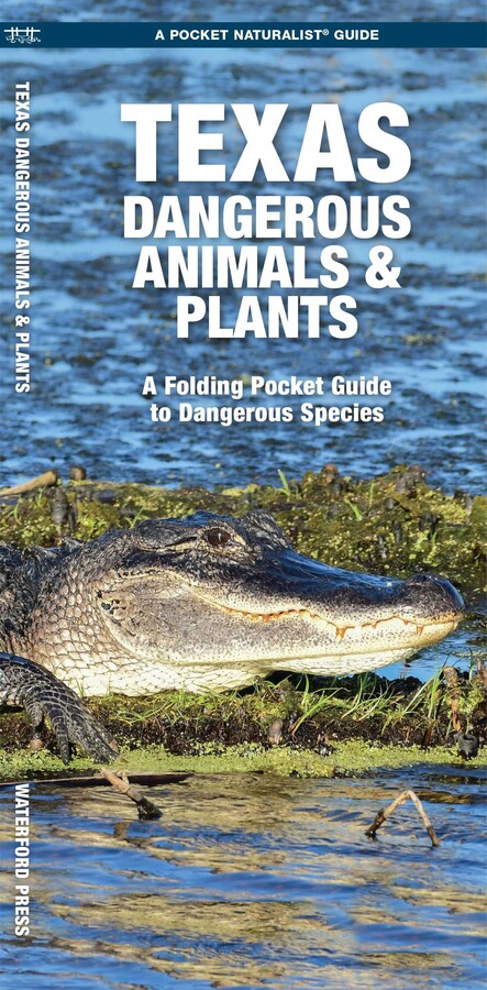 Texas Dangerous Animals & Plants - Book Summary & Video | Official ...