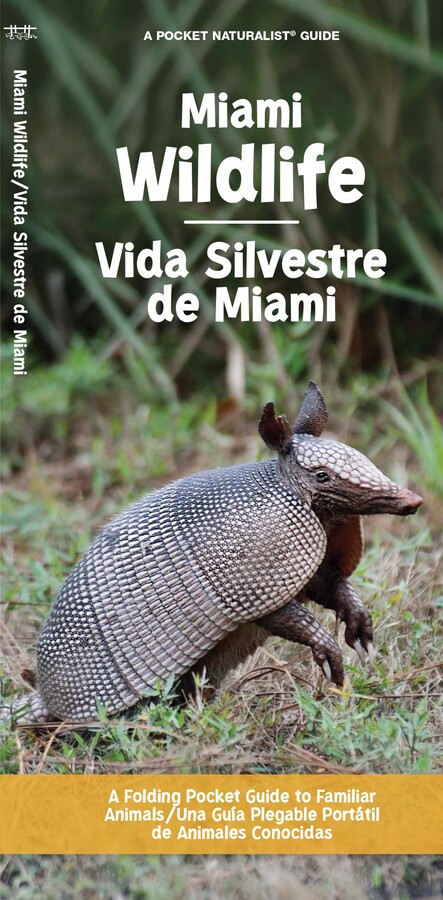 Miami Wildlife/Vida Silvestre de Miami - Book Summary & Video ...
