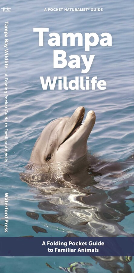 Tampa Bay Wildlife - Book Summary & Video | Official Publisher Page ...