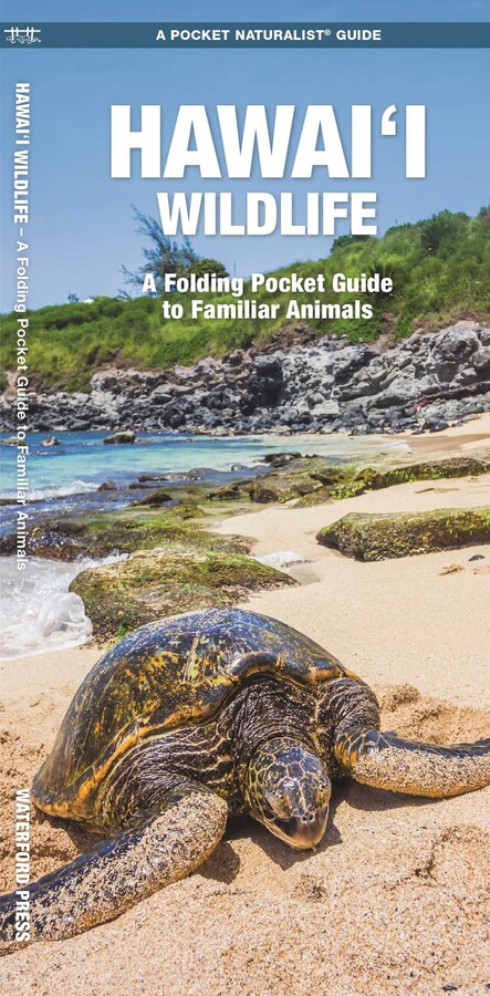 Hawai'i Wildlife, 2nd Ed - Book Summary & Video | Official Publisher ...