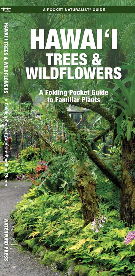 Hawai'i Trees & Wildflowers, 2nd Ed - Book Summary & Video | Official ...