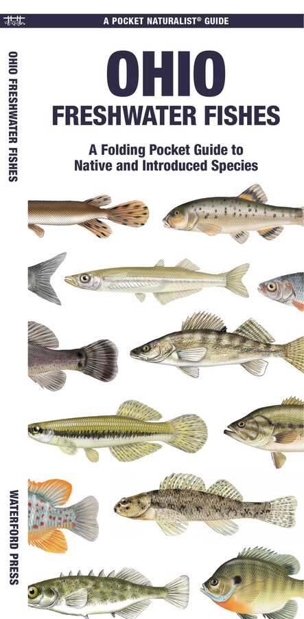 Ohio Freshwater Fishes - Book Summary & Video | Official Publisher Page ...