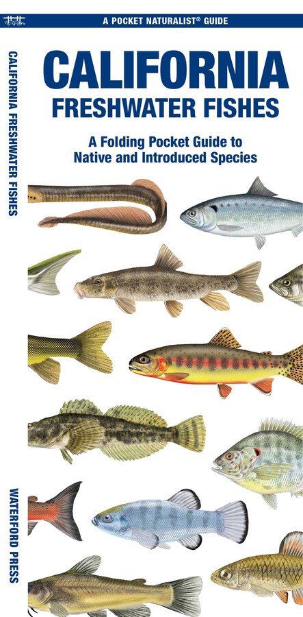 California Freshwater Fishes - Book Summary & Video | Official ...