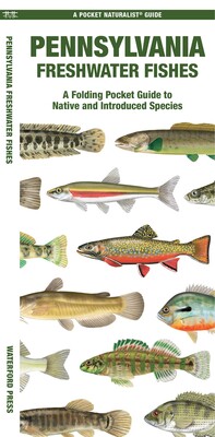Pennsylvania Freshwater Fishes - Book Summary & Video | Official ...