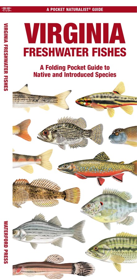 Virginia Freshwater Fishes - Book Summary & Video | Official Publisher ...
