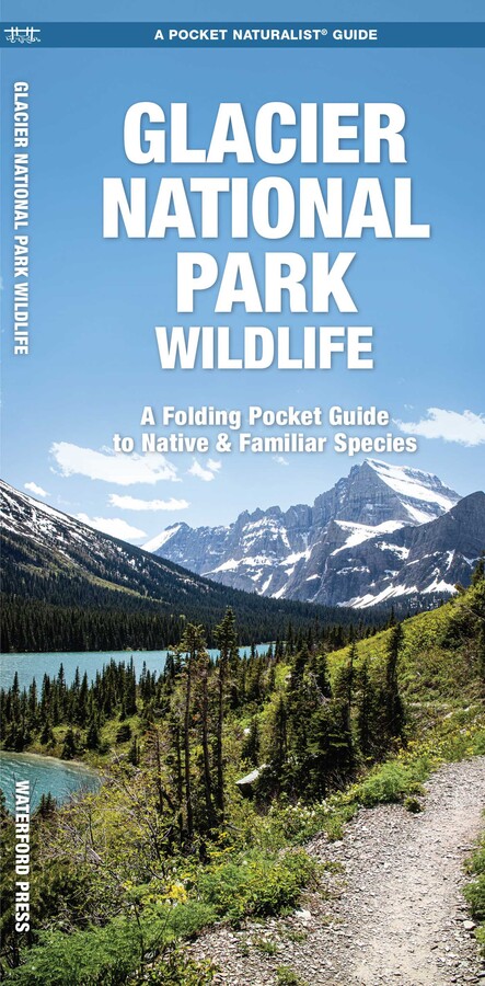 Glacier National Park Wildlife - Book Summary & Video | Official ...