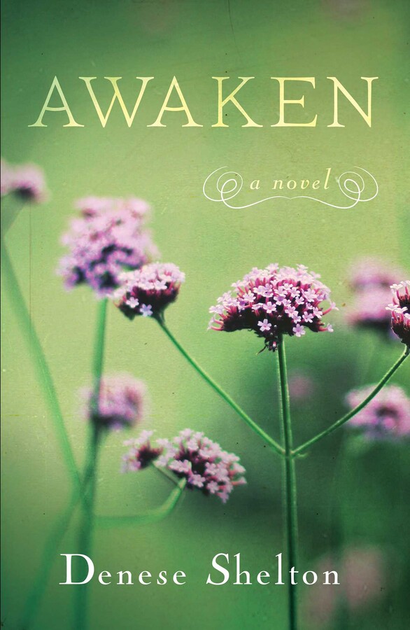 Awaken eBook by Denese Shelton | Official Publisher Page | Simon & Schuster