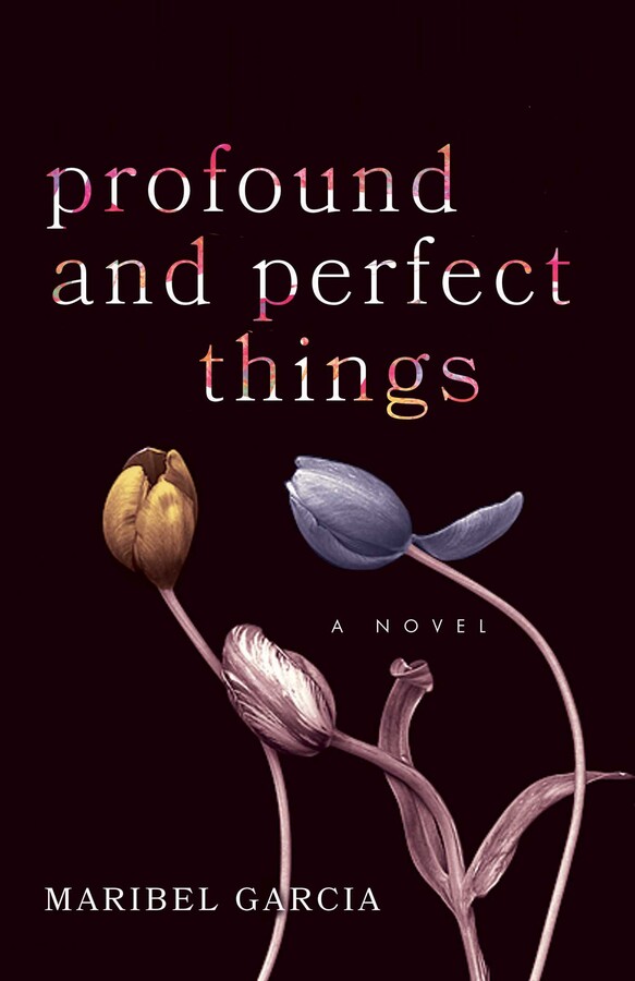 Profound and Perfect Things | Book by Maribel Garcia | Official ...
