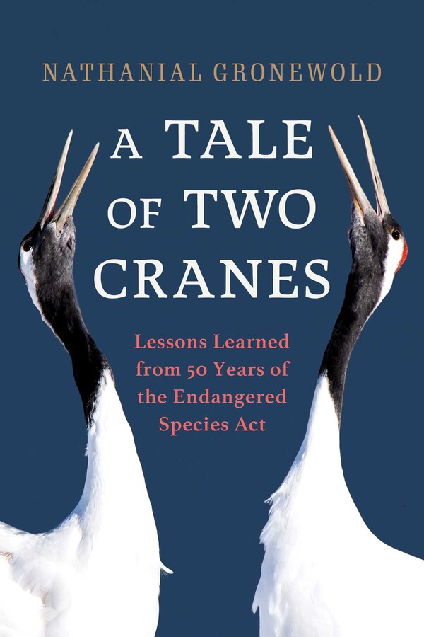 A Tale of Two Cranes | Book by Nathanial Gronewold | Official Publisher ...