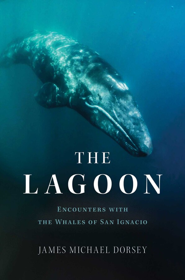 The Lagoon | Book by James Michael Dorsey | Official Publisher Page ...