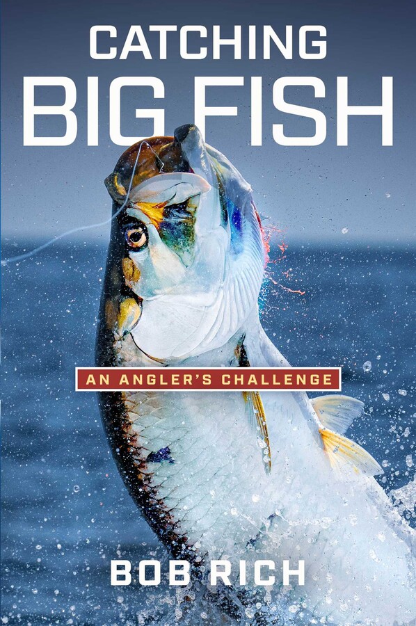 Catching Big Fish | Book by Bob Rich | Official Publisher Page | Simon ...