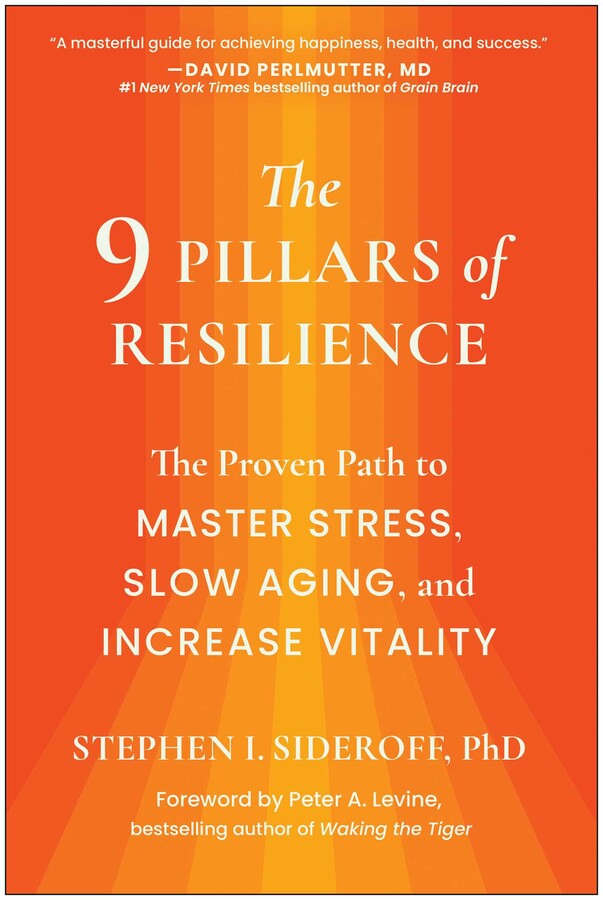 The 9 Pillars of Resilience eBook by Stephen I. Sideroff | Official ...