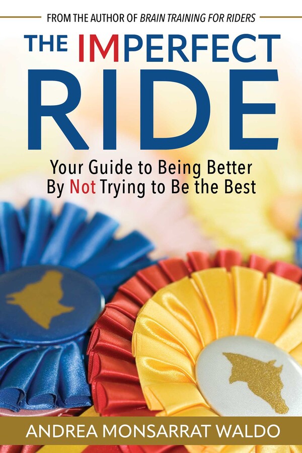The Imperfect Ride | Book by Andrea Waldo | Official Publisher Page ...
