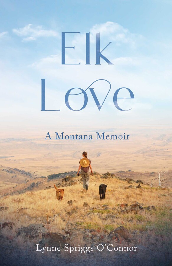 Elk Love | Book by Lynne Spriggs O'Connor | Official Publisher Page ...