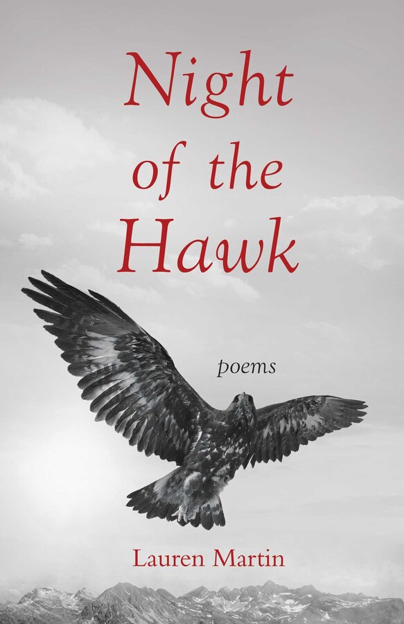 Night of the Hawk | Book by Lauren Martin | Official Publisher Page ...