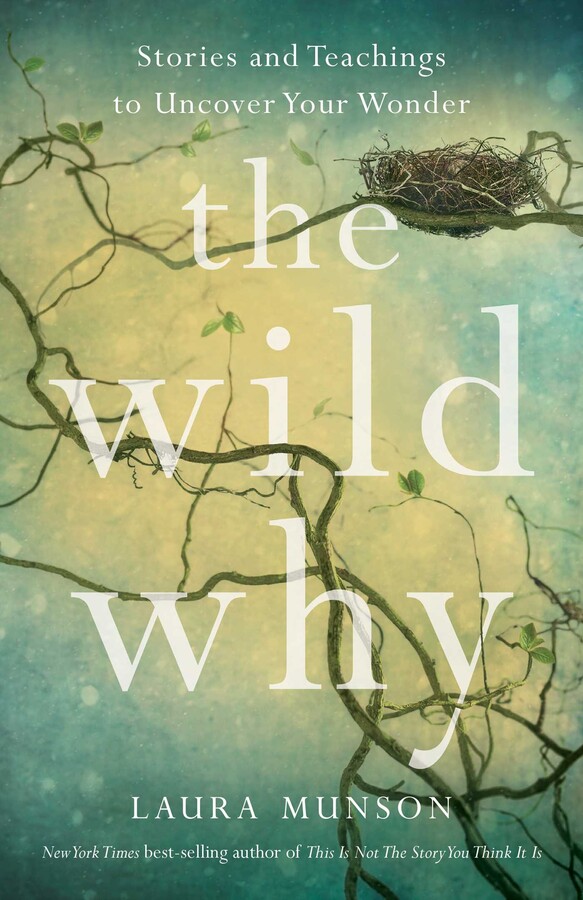 The Wild Why | Book by Laura Munson | Official Publisher Page | Simon ...