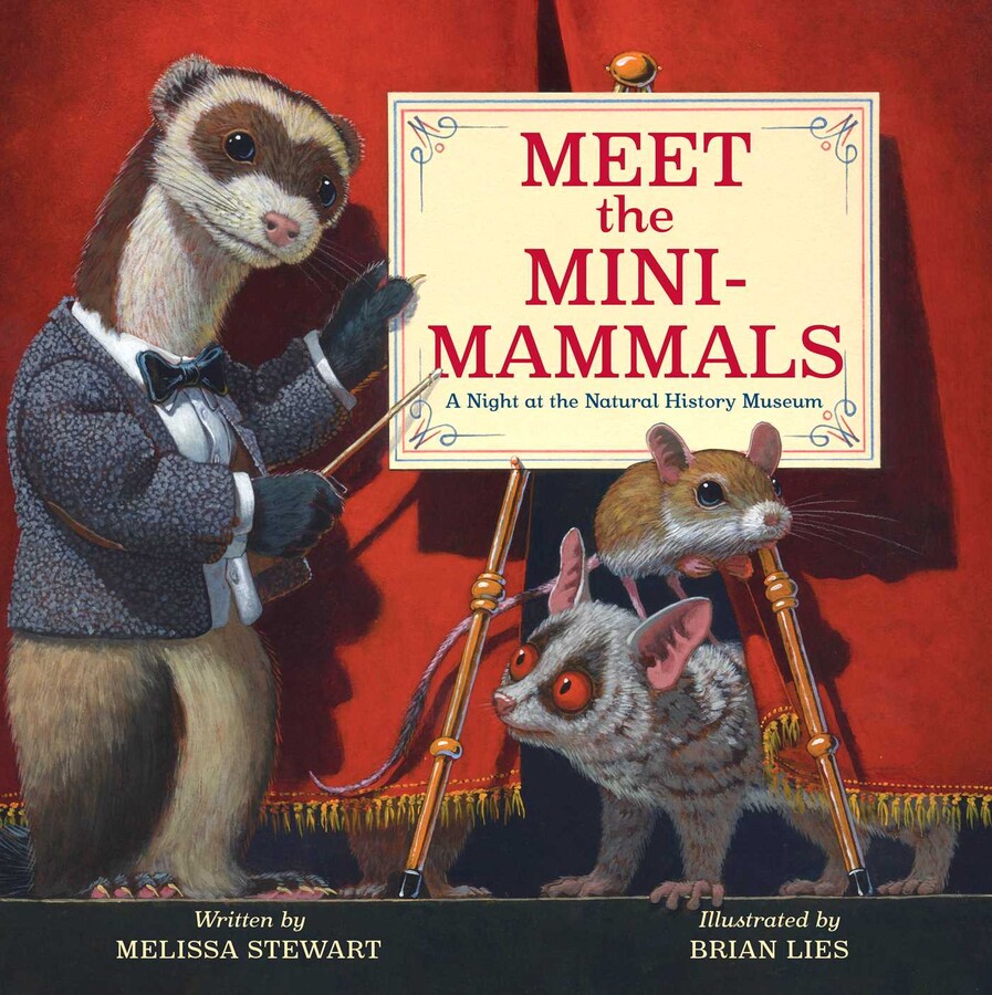 Meet the Mini-Mammals | Book by Melissa Stewart, Brian Lies | Official ...