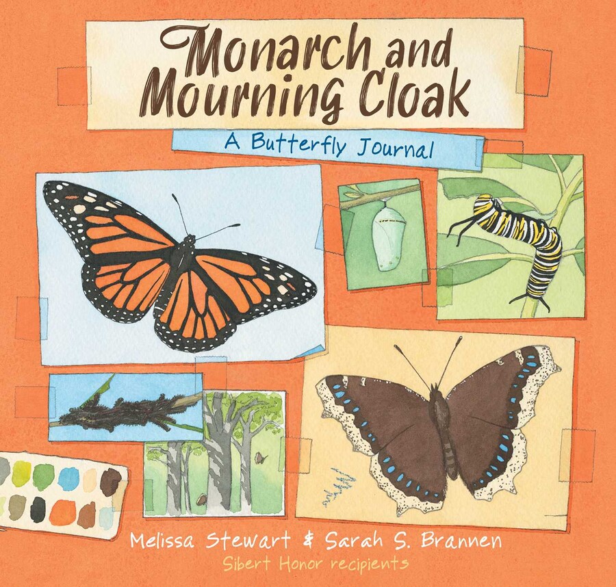 Monarch and Mourning Cloak | Book by Melissa Stewart, Sarah S. Brannen ...