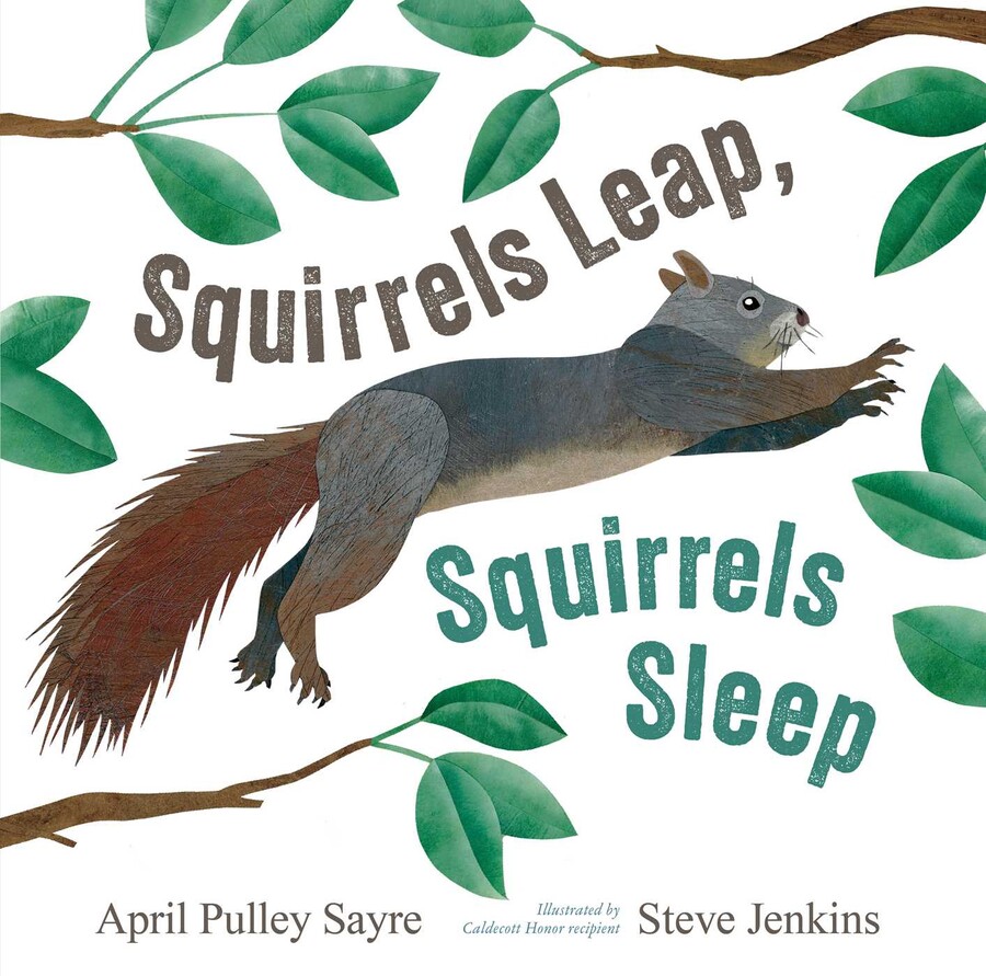 Squirrels Leap, Squirrels Sleep eBook by April Pulley Sayre, Steve ...