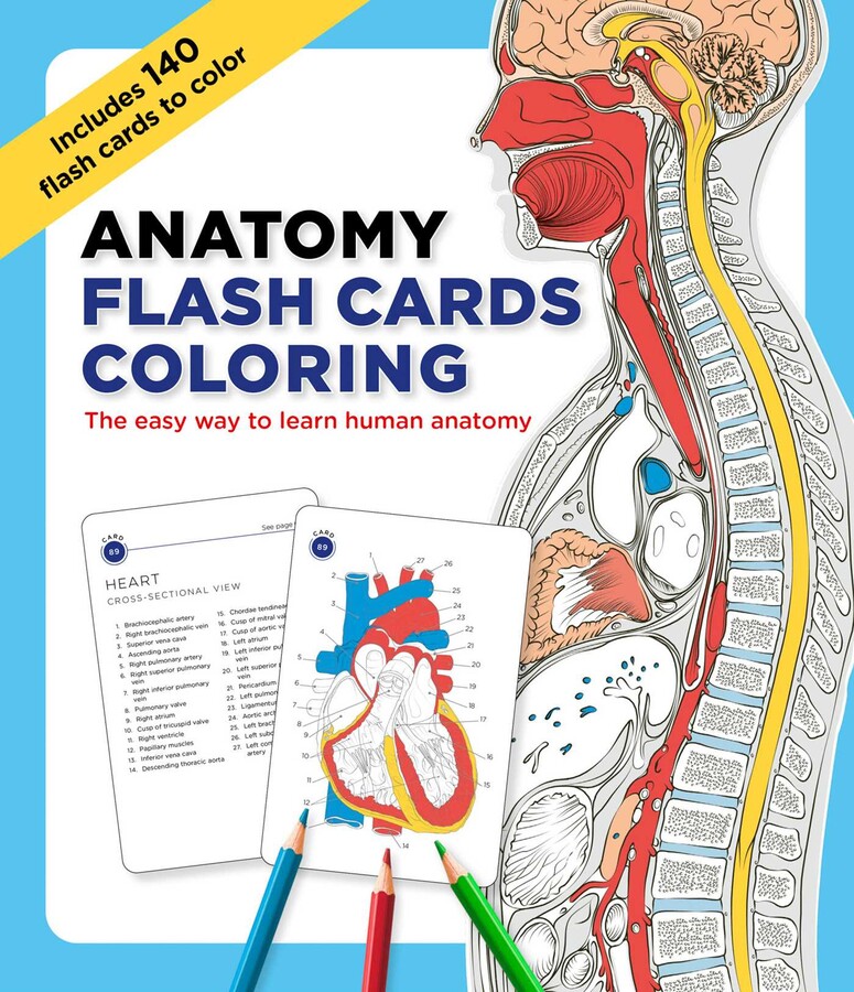 Anatomy Flash Cards Coloring - Book Summary & Video | Official ...