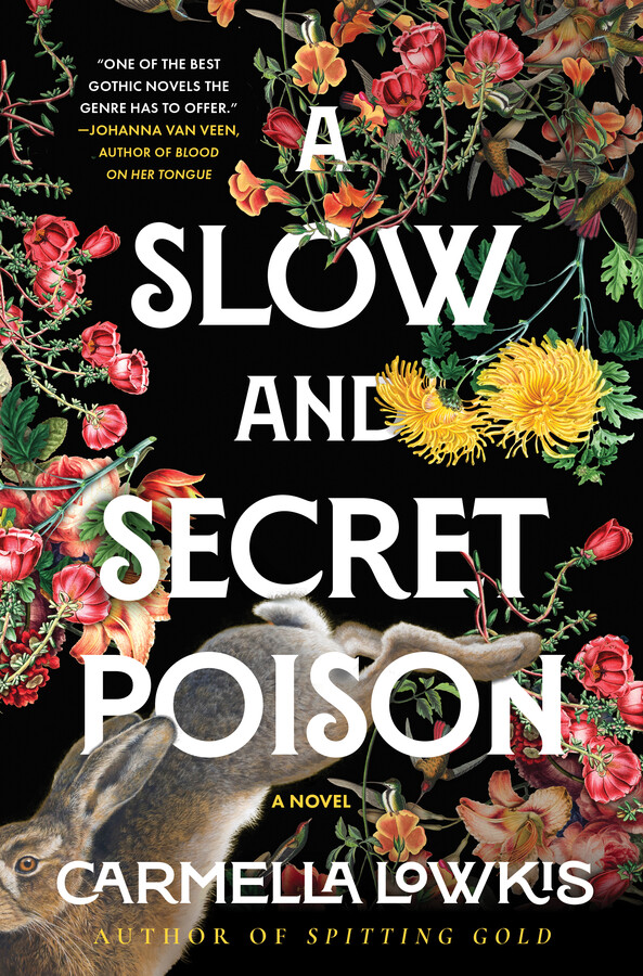 A Slow and Secret Poison | Book by Carmella Lowkis | Official Publisher ...