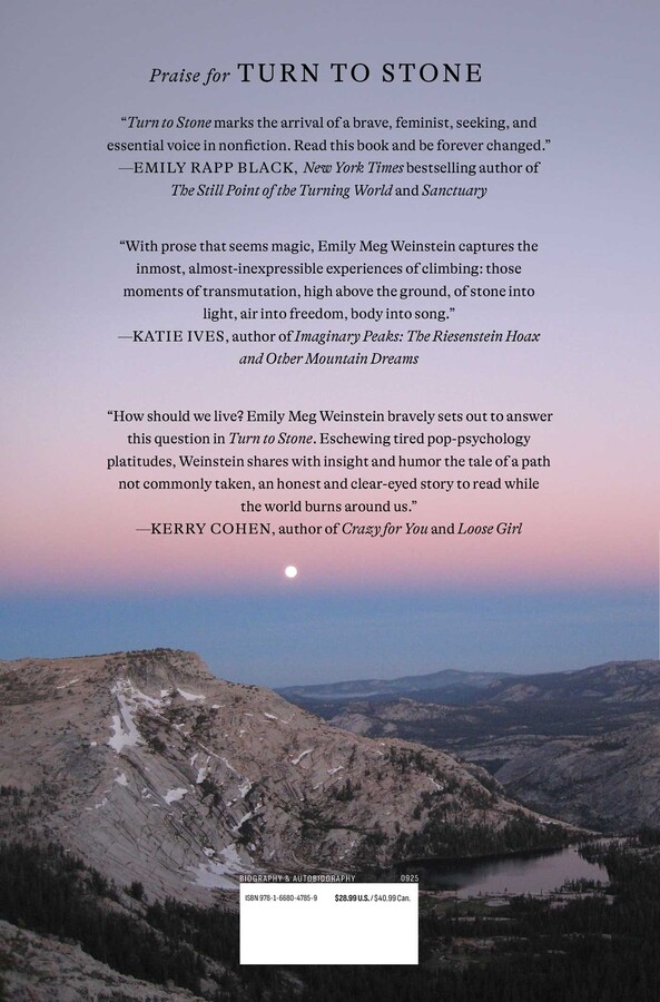 Turn to Stone | Book by Emily Meg Weinstein | Official Publisher Page ...