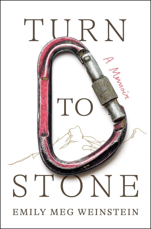 Turn to Stone | Book by Emily Meg Weinstein | Official Publisher Page ...
