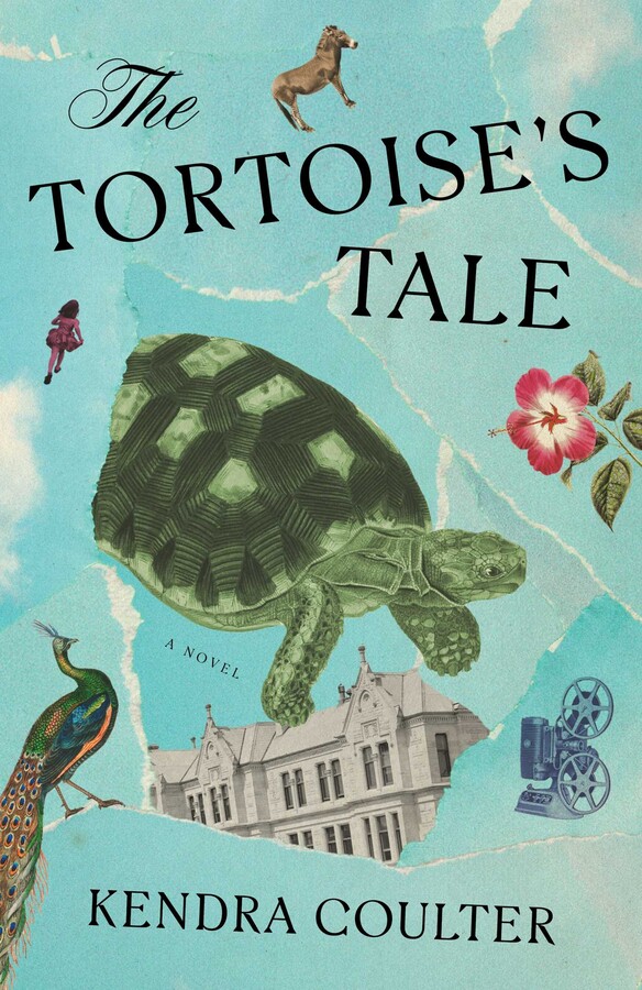 The Tortoise's Tale | Book by Kendra Coulter | Official Publisher Page ...