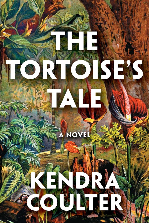 The Tortoise's Tale | Book by Kendra Coulter | Official Publisher Page ...