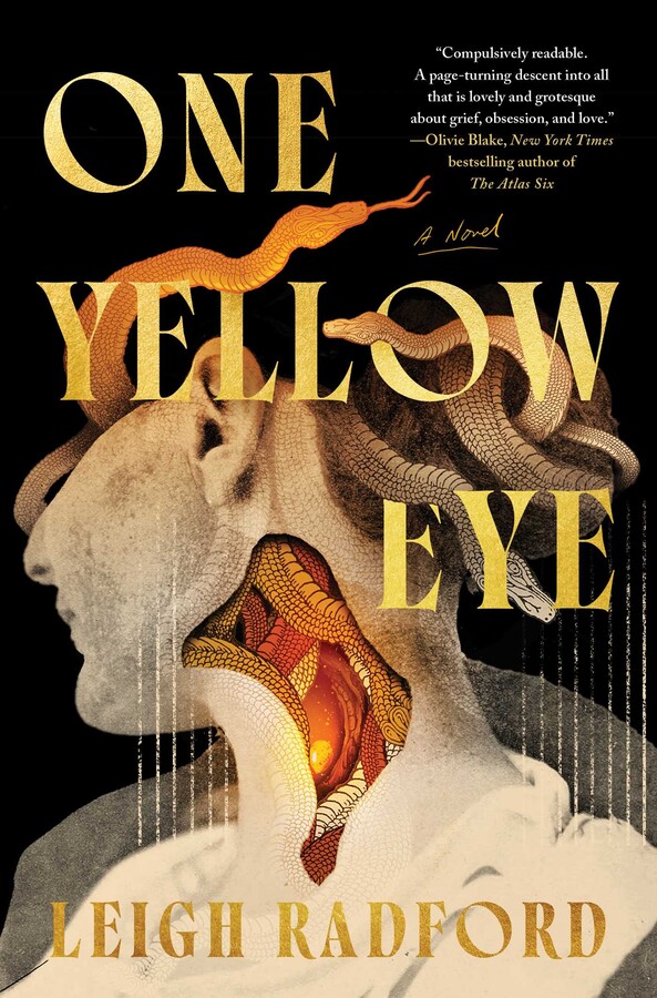 One Yellow Eye | Book by Leigh Radford | Official Publisher Page ...