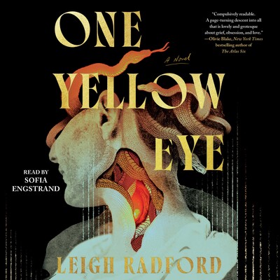 One Yellow Eye Audiobook by Leigh Radford, Sofia Engstrand | Official ...