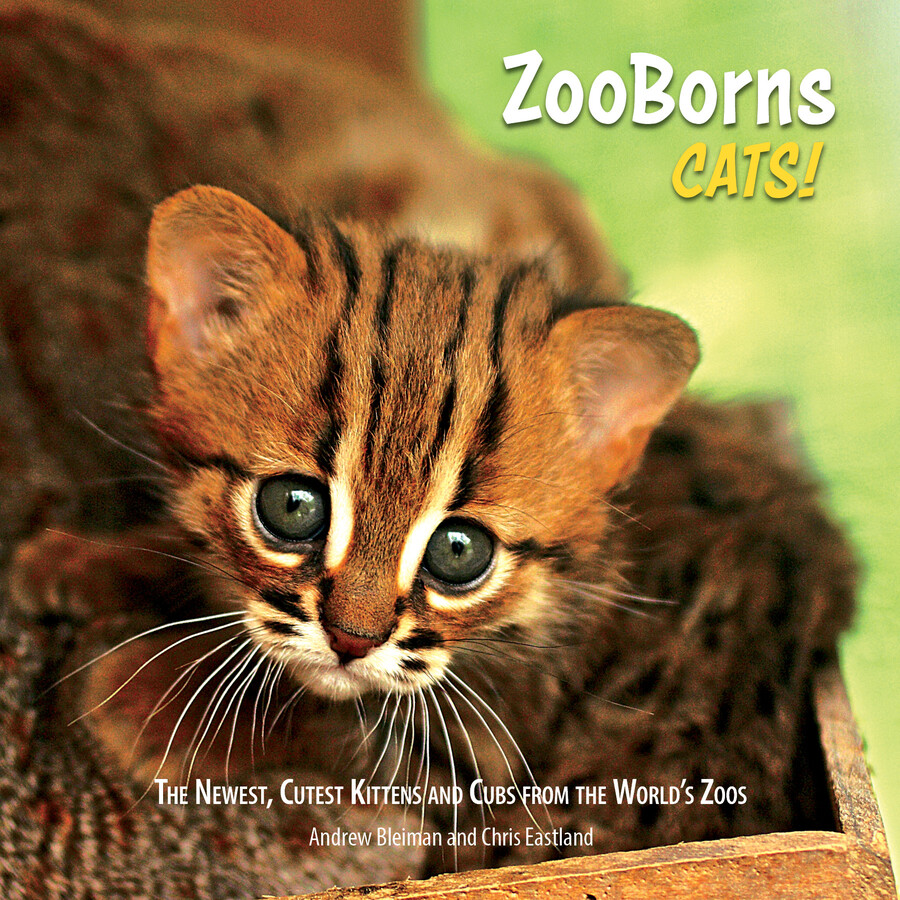 ZooBorns Cats! | Book by Andrew Bleiman, Chris Eastland | Official ...
