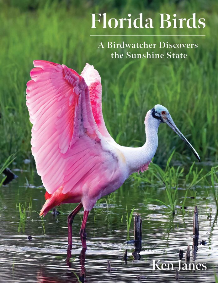 Florida Birds | Book by Ken Janes | Official Publisher Page | Simon & Schuster