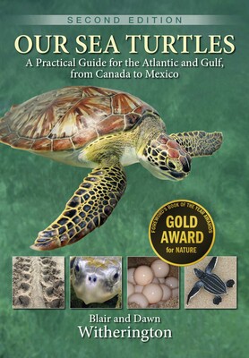 Our Sea Turtles | Book by Blair Witherington, Dawn Witherington ...