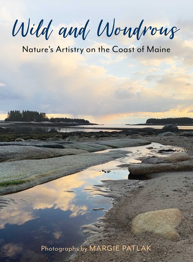 Wild and Wondrous | Book by Margie Patlak | Official Publisher Page ...