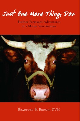 Just One More Thing, Doc eBook by Bradford B Brown | Official Publisher ...