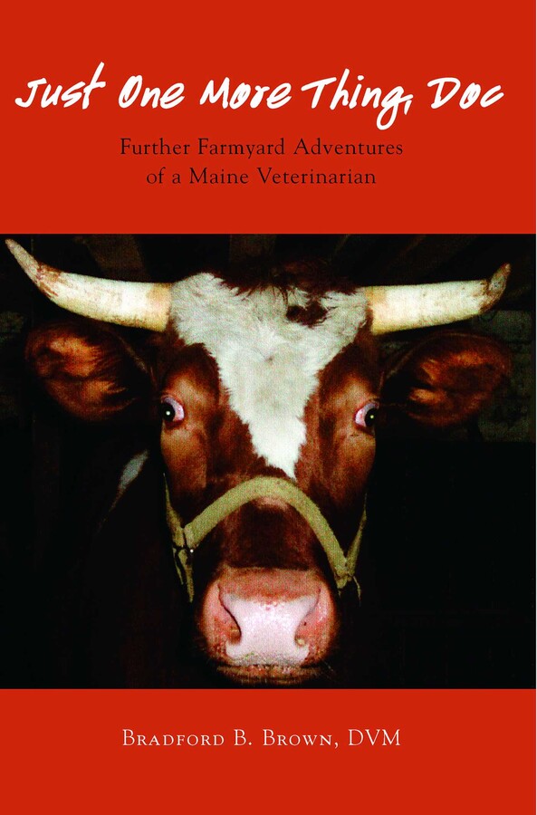 Just One More Thing, Doc eBook by Bradford B Brown | Official Publisher ...