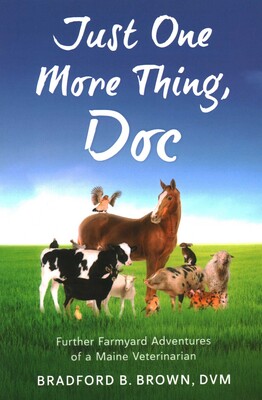 Just One More Thing, Doc | Book by Bradford B Brown | Official ...
