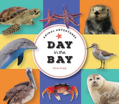 Animal Adventures: Day in the Bay | Book by Fiona Craig | Official ...