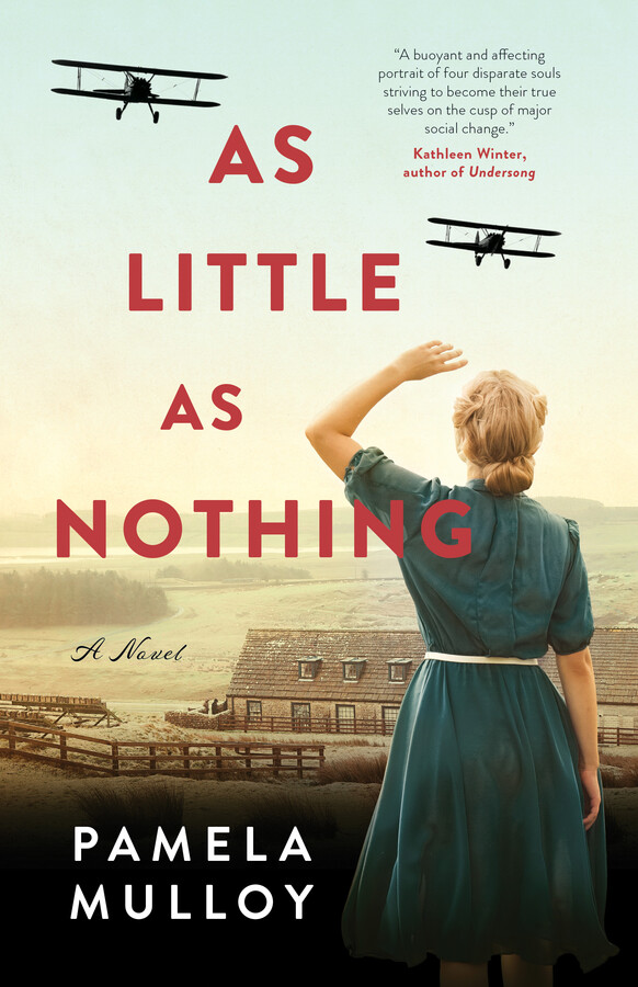 As Little As Nothing | Book by Pamela Mulloy | Official Publisher Page ...
