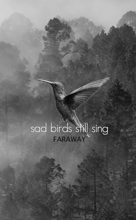 Sad Birds Still Sing | Book by Faraway | Official Publisher Page ...