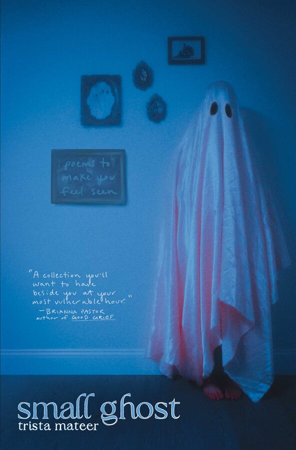Small Ghost | Book by Trista Mateer | Official Publisher Page | Simon ...