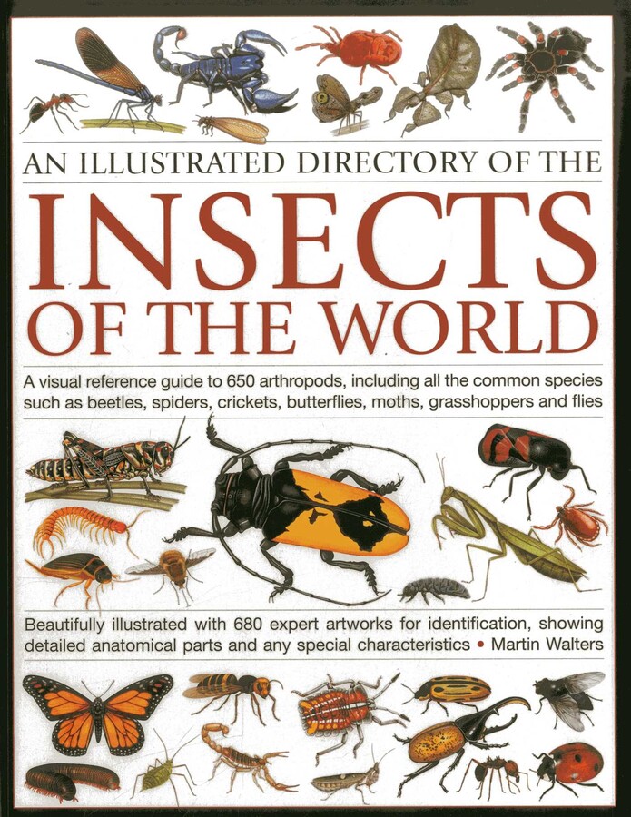 An Illustrated Directory of the Insects of the World | Book by Martin ...