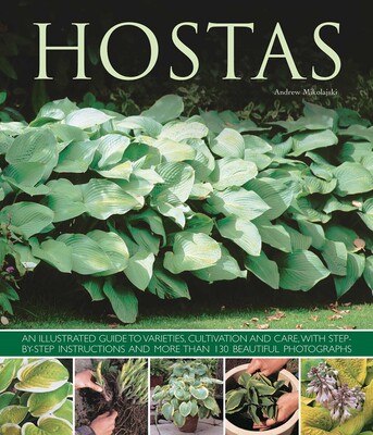 Hostas | Book by Andrew Mikolajski | Official Publisher Page | Simon ...